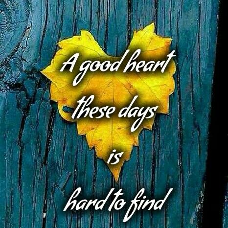 A Good Heart « Exposures - The Blog